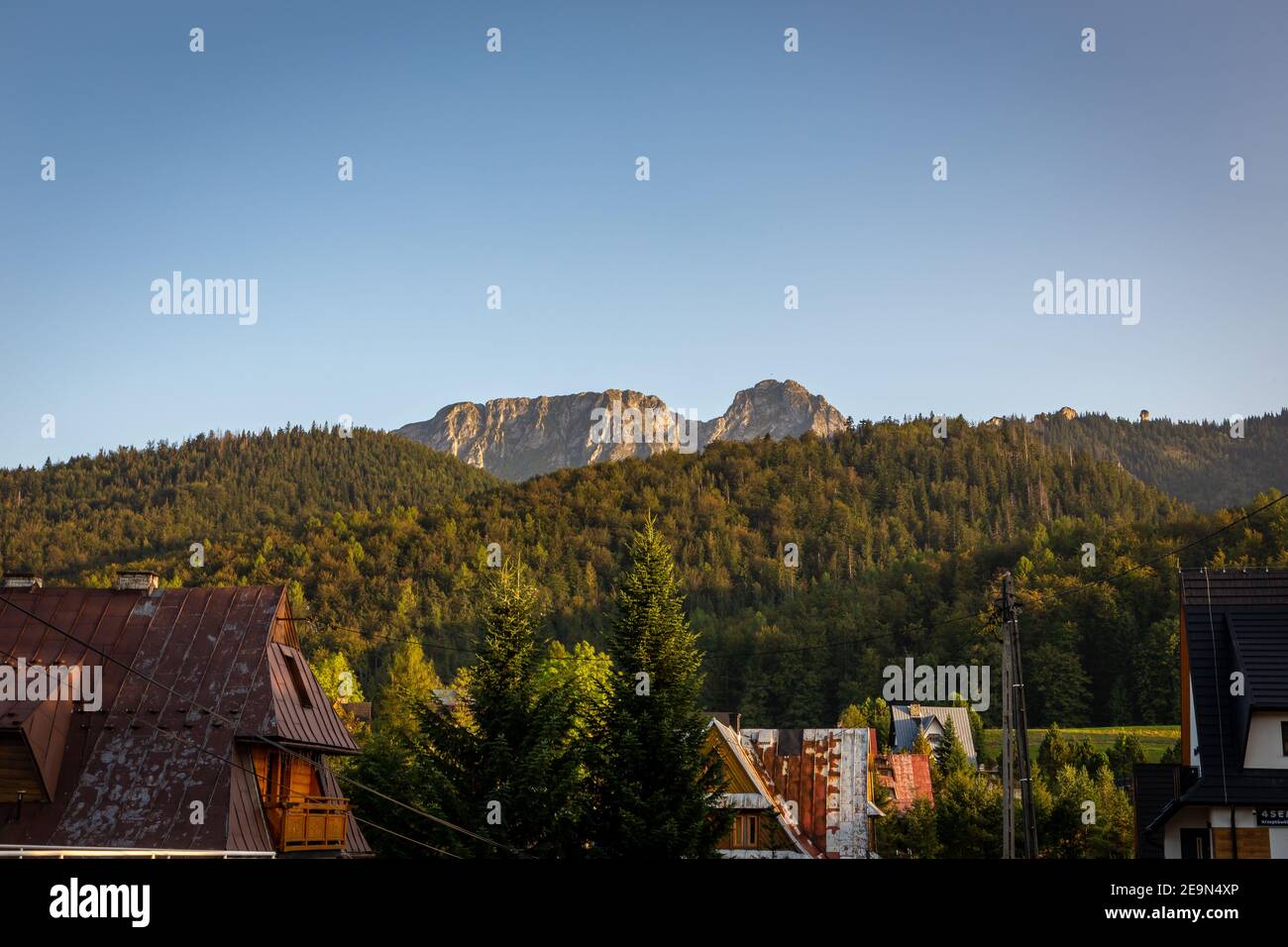 Giewont Mountain (Sleeping Knight) with coniferous forest in Tatra ...