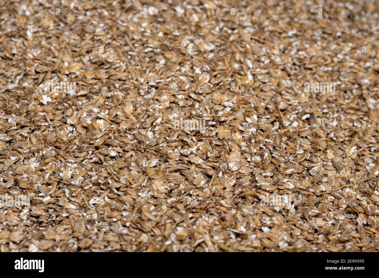 Ground Barley High Resolution Stock Photography and Images - Alamy