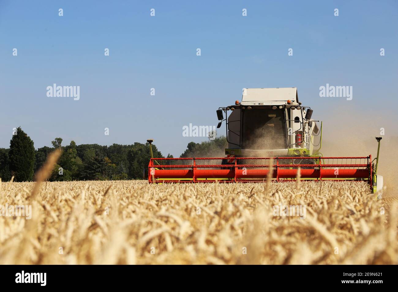 Agricultural cereal harvest with with combine harvester (Germany Stock ...