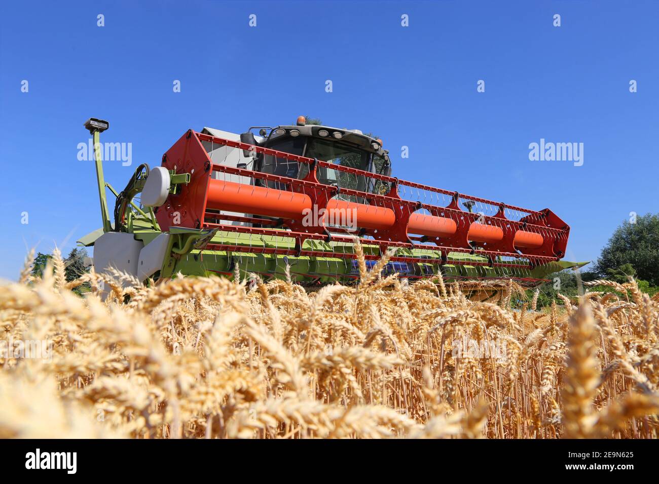 Agricultural cereal harvest with with combine harvester (Germany Stock ...