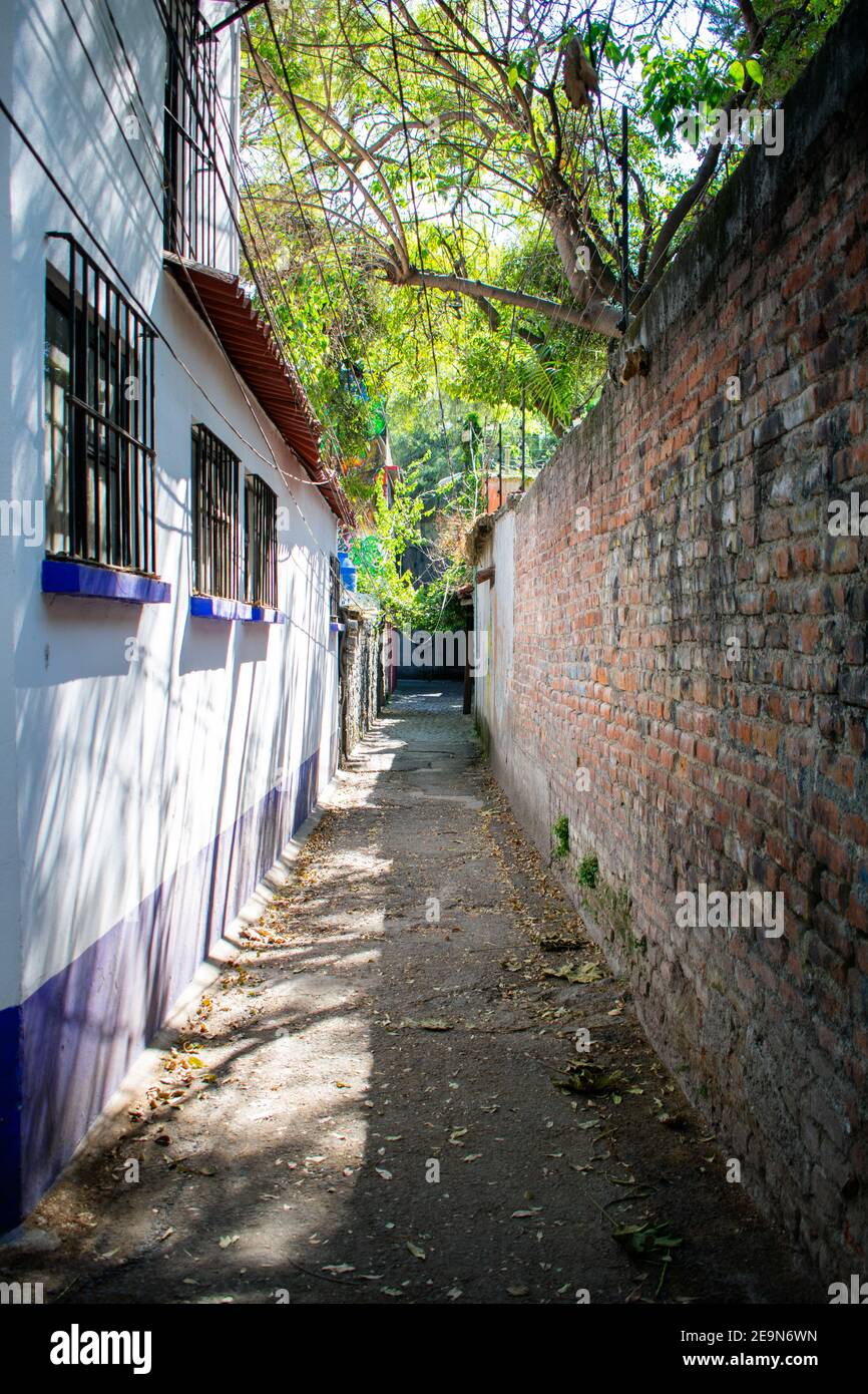 Colorful Hispanic houses and trees in alleys from Mexico City Stock ...