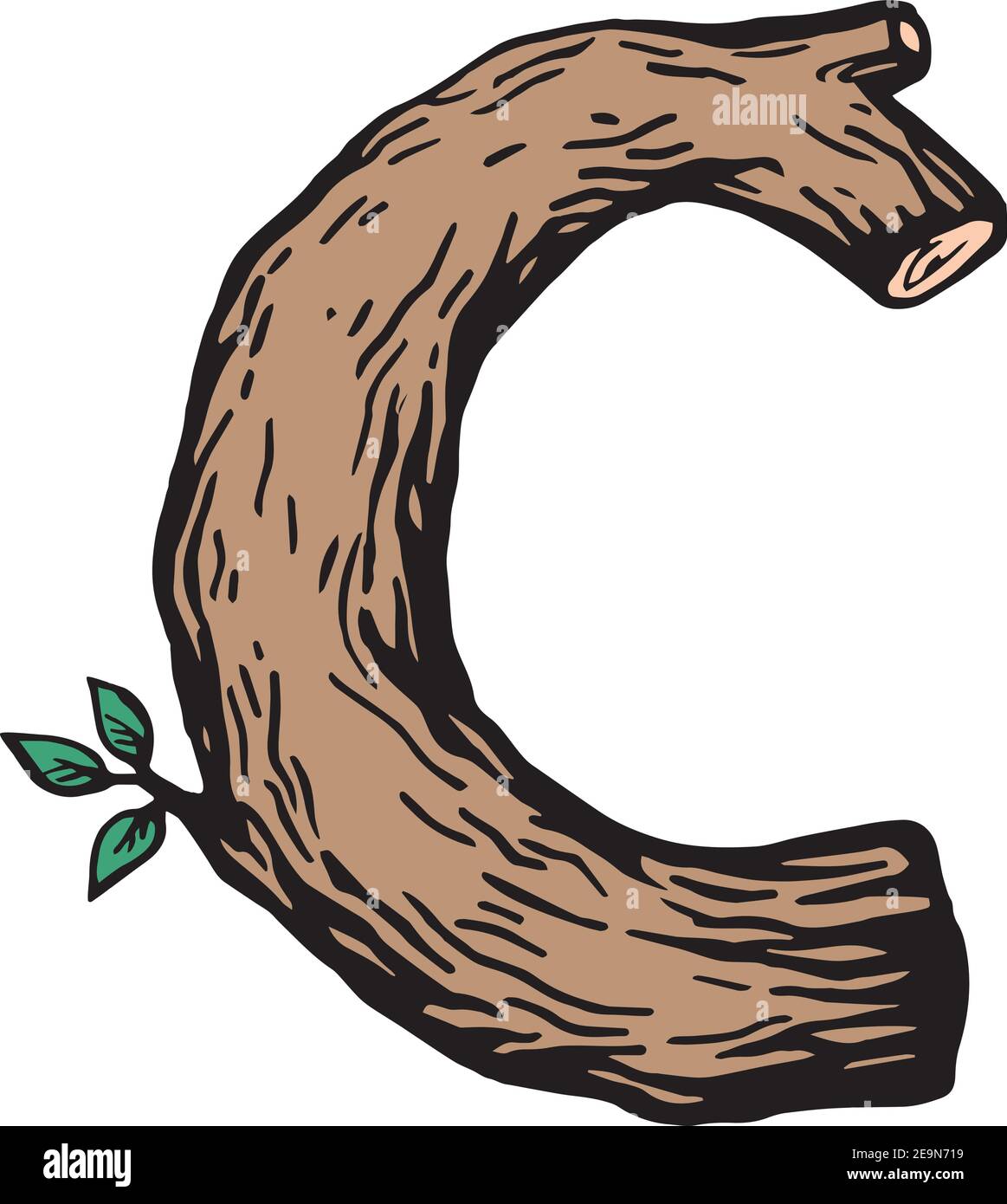 Colored engraving Letter C made of wood with leaves on the white ...