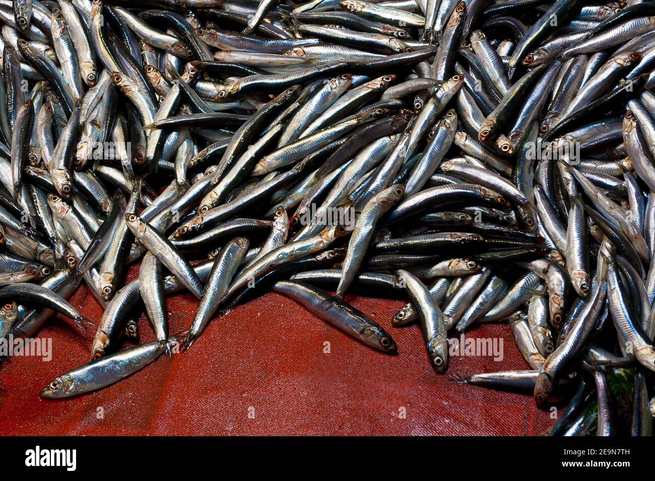 fresh smelt fish heap in a sea market Stock Photo - Alamy