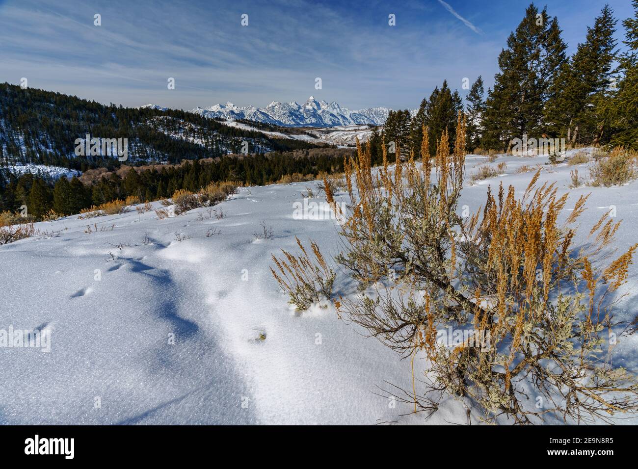 Tetons in winter hi-res stock photography and images - Alamy