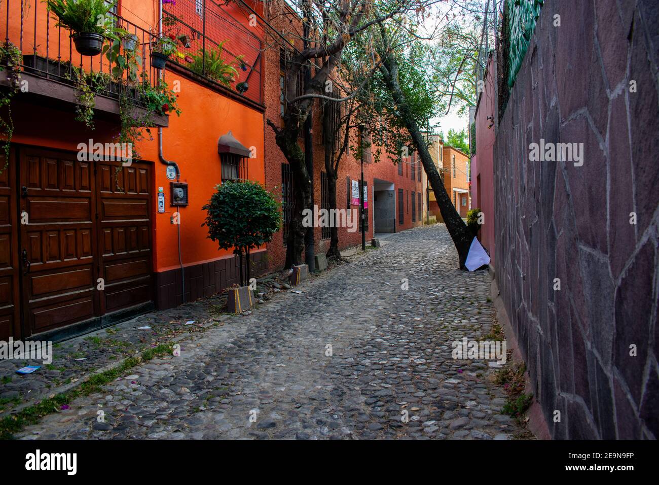 Colorful Hispanic houses in empty alley from Mexico City Stock Photo ...