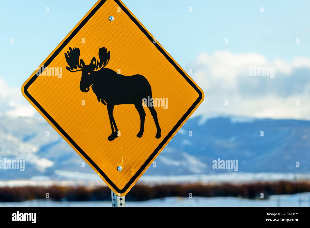 Moose Crossing Sign in Teton Valley Idaho Stock Photo - Alamy