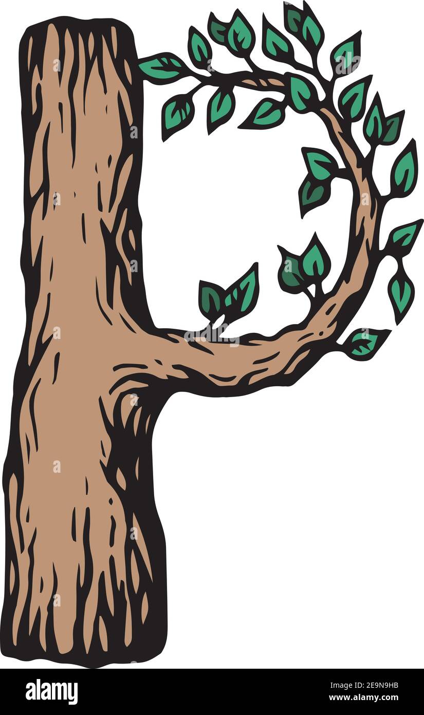 Colored engraving Letter P made of wood with leaves on the white ...