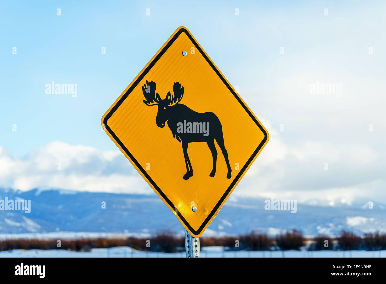 Moose crossing sign hi-res stock photography and images - Alamy