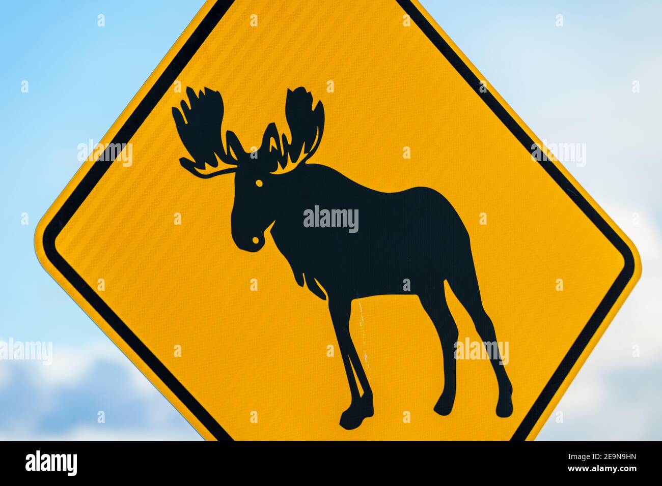Closeup of Moose Crossing Road Sign Stock Photo - Alamy