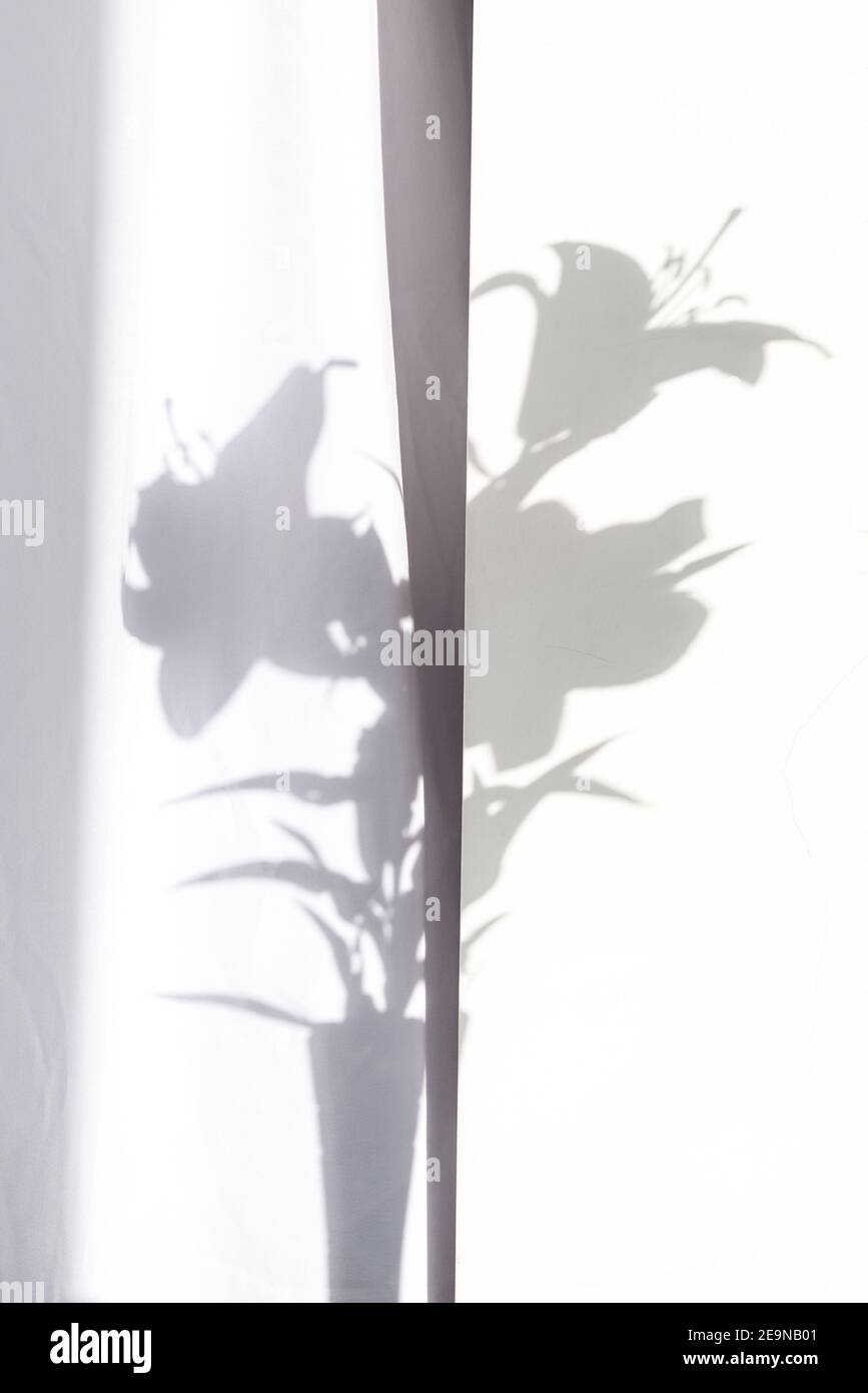 Shades of neutral grey hi-res stock photography and images - Alamy