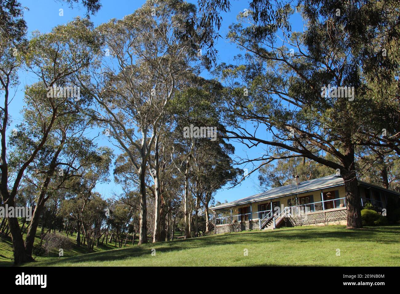 An Australian homestead in the bush in the Adelaide Hills, South ...