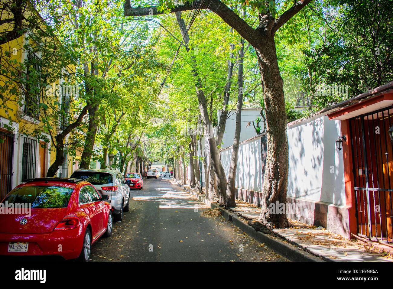Hispanic houses and row of trees in street from Mexico City Stock Photo ...