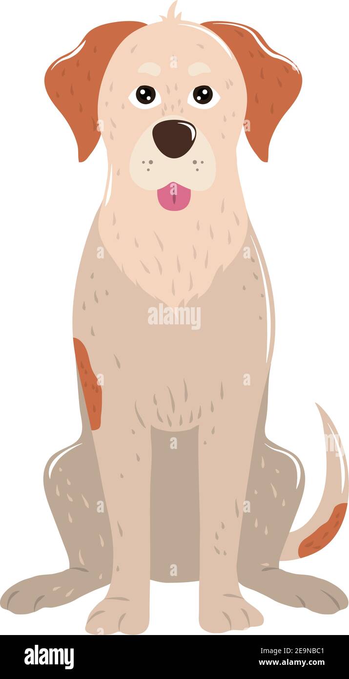 pet big dog animal sitting on white background vector illustration ...