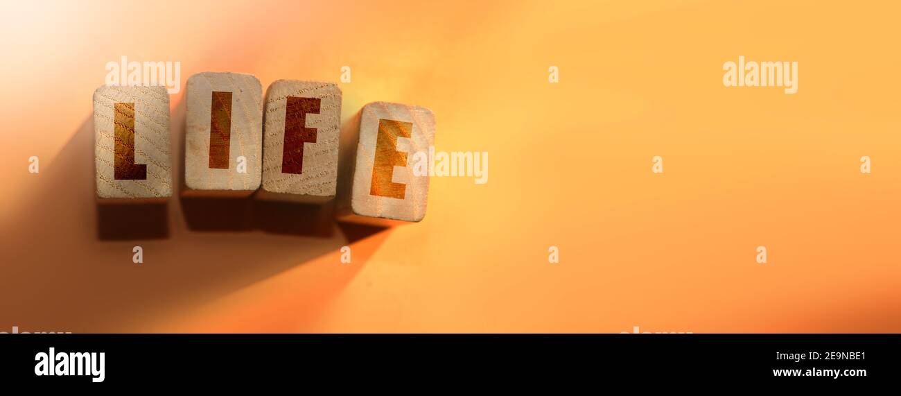Four wooden blocks with LIFE text . The word Life formed by wooden ...