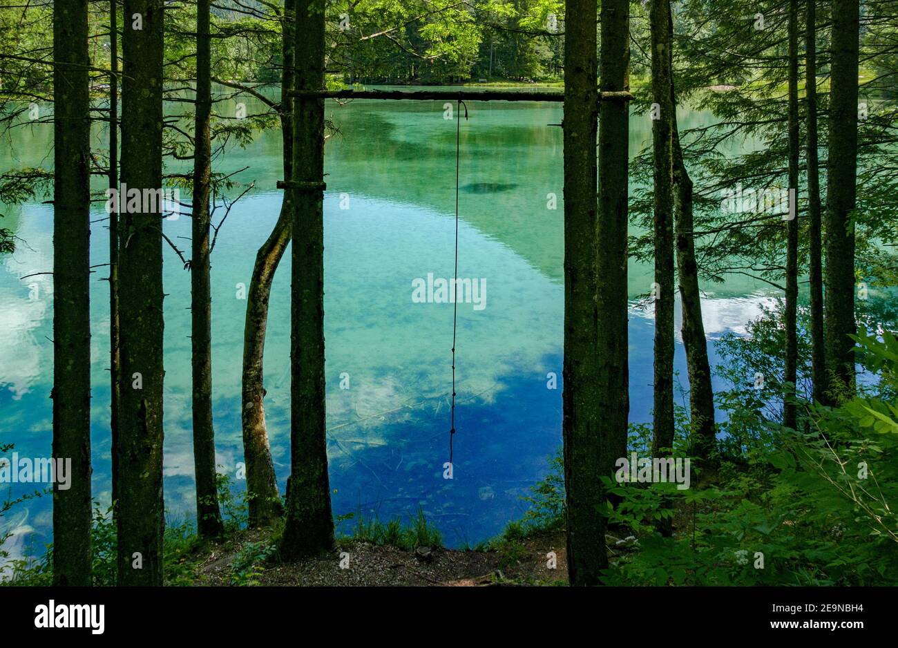 Clear green lake in a beautiful forest Stock Photo - Alamy