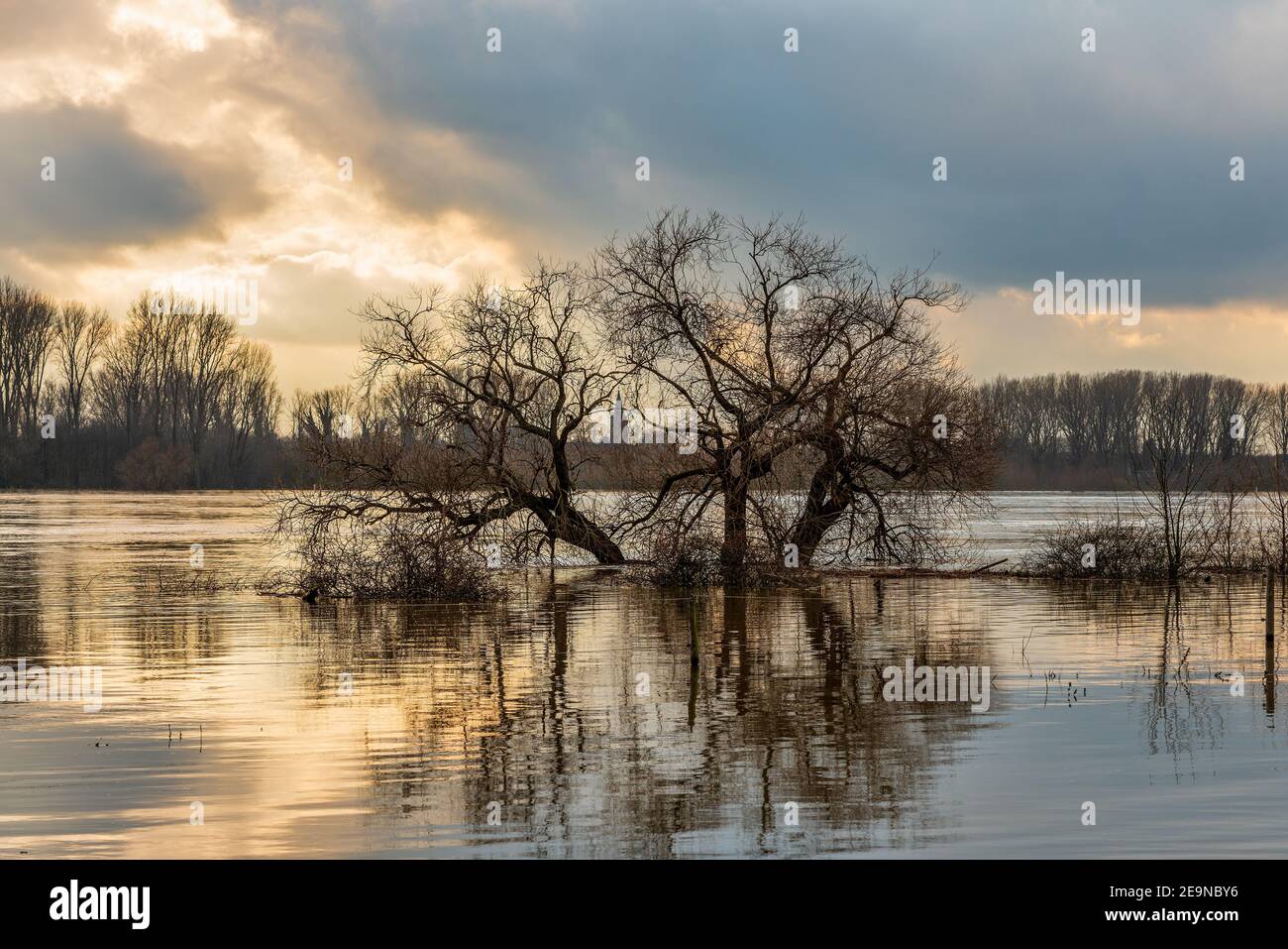 Flood on the Rhine, Germany Stock Photo - Alamy