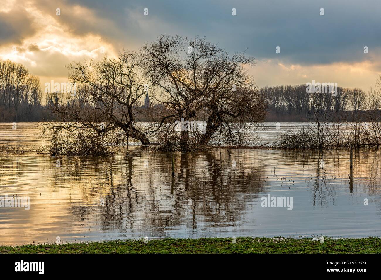 Flood on the Rhine, Germany Stock Photo - Alamy