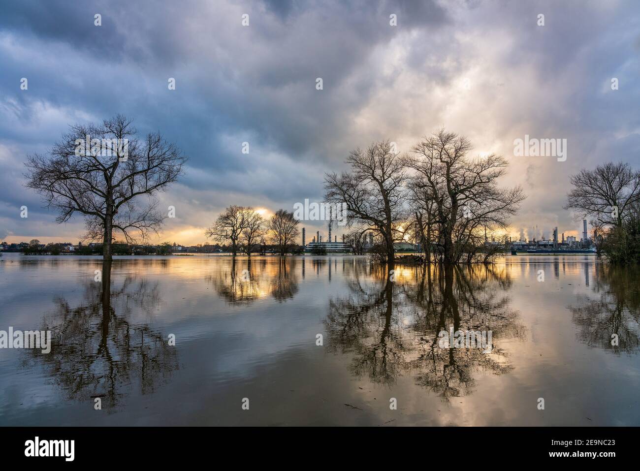 Flood on the Rhine, Germany. Chempark Dormagen in the background Stock ...