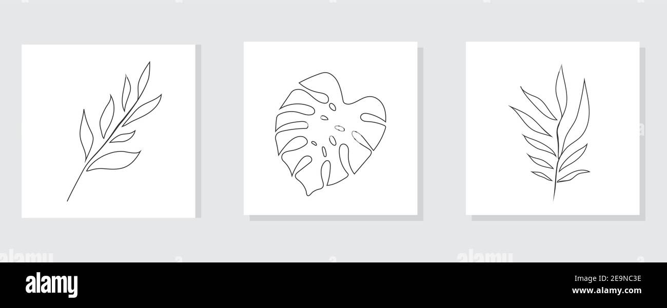 Botanical wall art vector set. Line drawing of tropical foliage ...