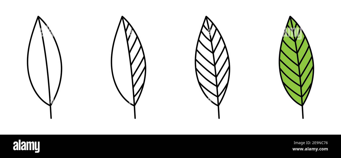 leaf line icons set. Vector illustration isolated on white background ...