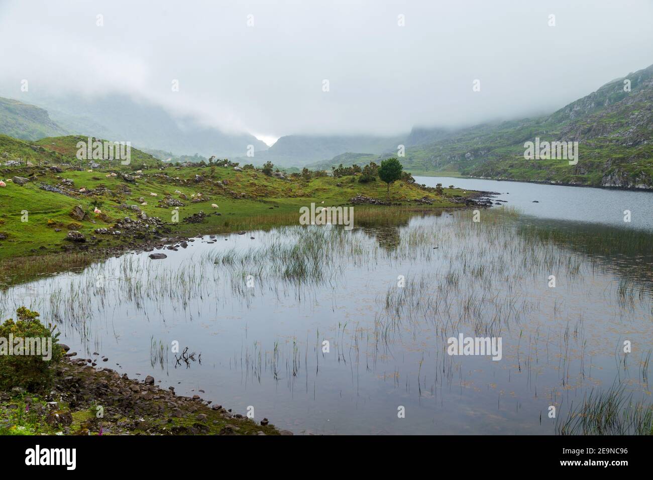 Killarney National Park. Killarney National Park, near the town of ...