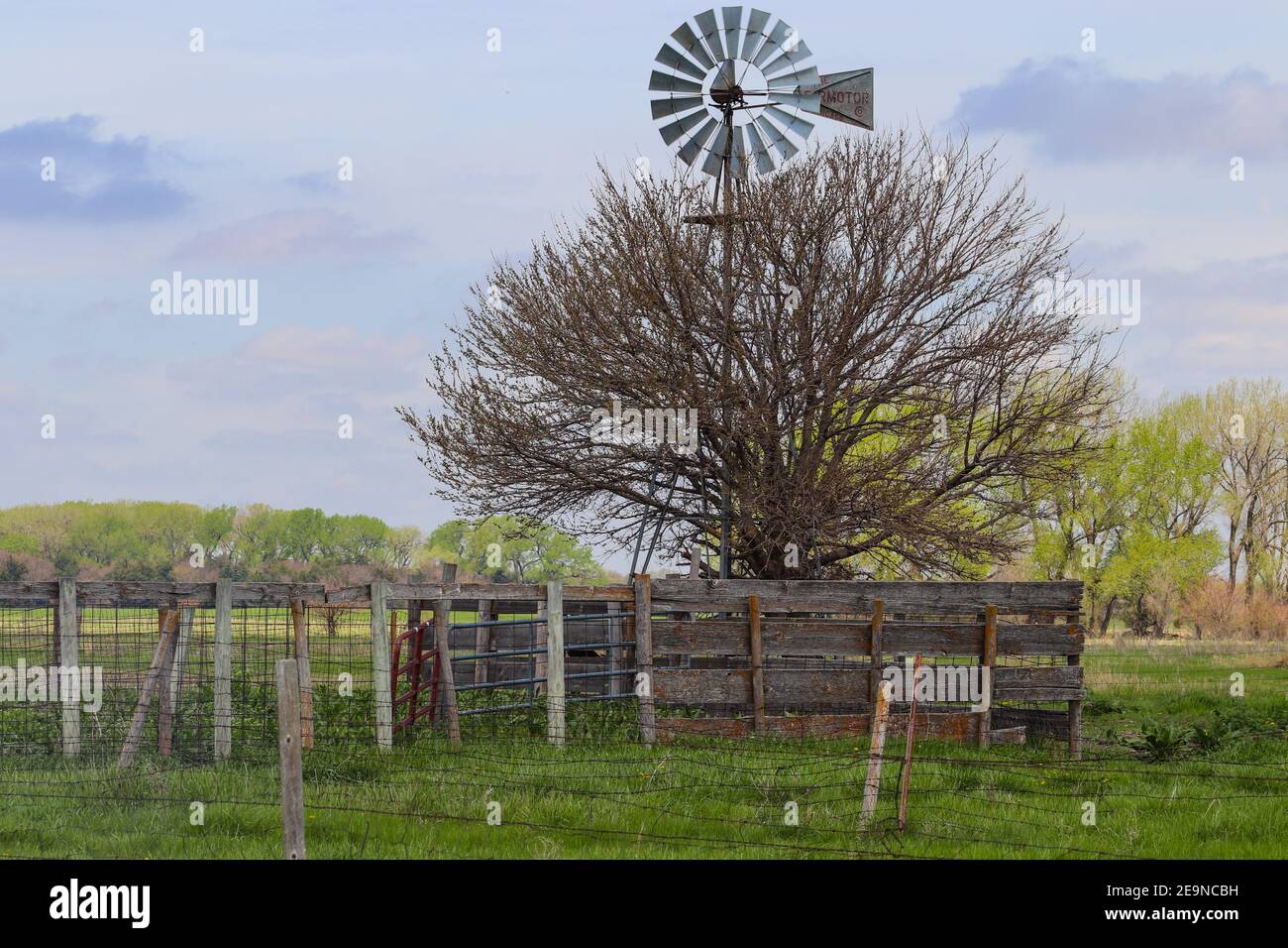 Rustic old wood windmill by old animal coral. High quality photo Stock ...