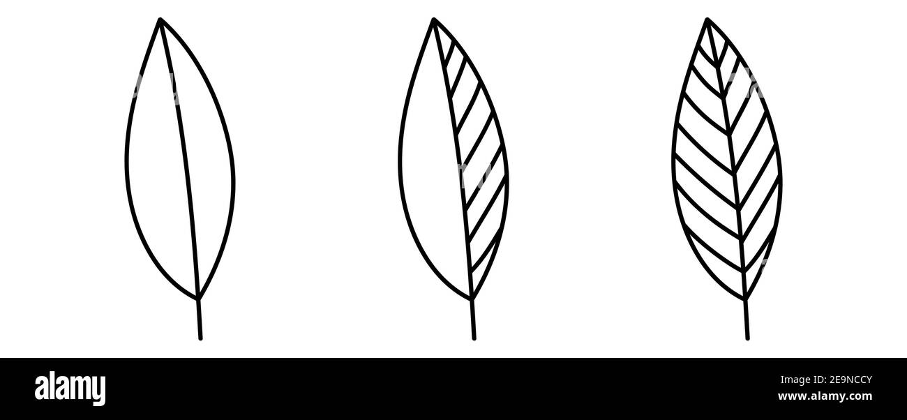 leaf line icons set. Vector illustration isolated on white background ...