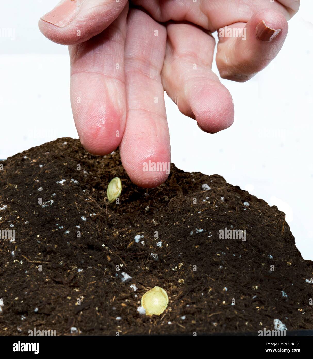 Dropping Seeds High Resolution Stock Photography and Images - Alamy