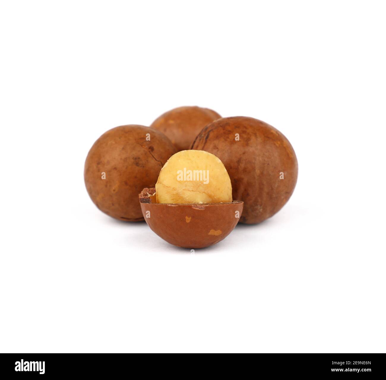 Close up group of several unshelled macadamia nuts and one open kernel ...