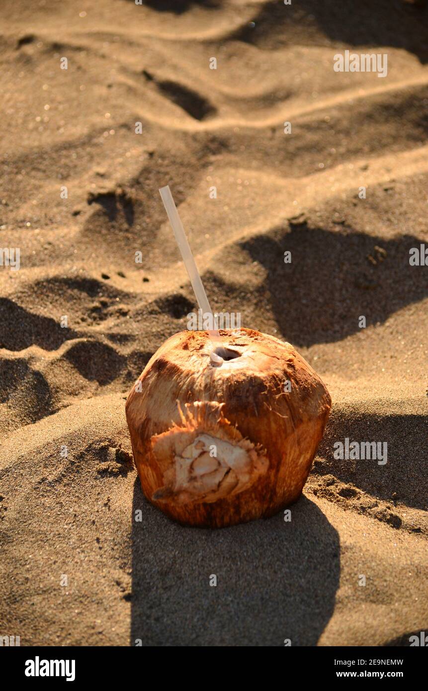 Tropical exotic drink palm hi-res stock photography and images - Alamy