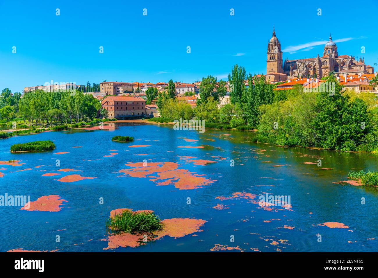 Cathedral at Salamanca reflected on river Tormes, Spain Stock Photo - Alamy