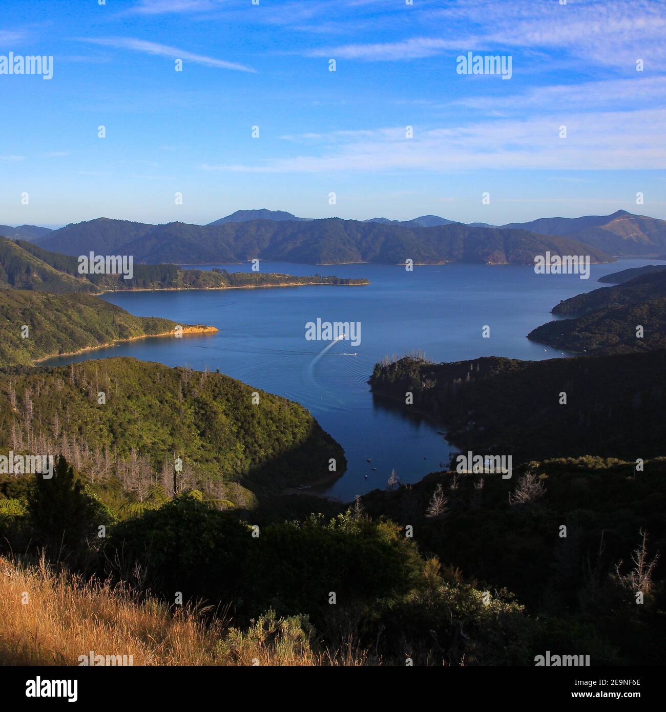 Endeavour Inlet, bay in the Queen Charlotte Sound. New Zealand Stock ...