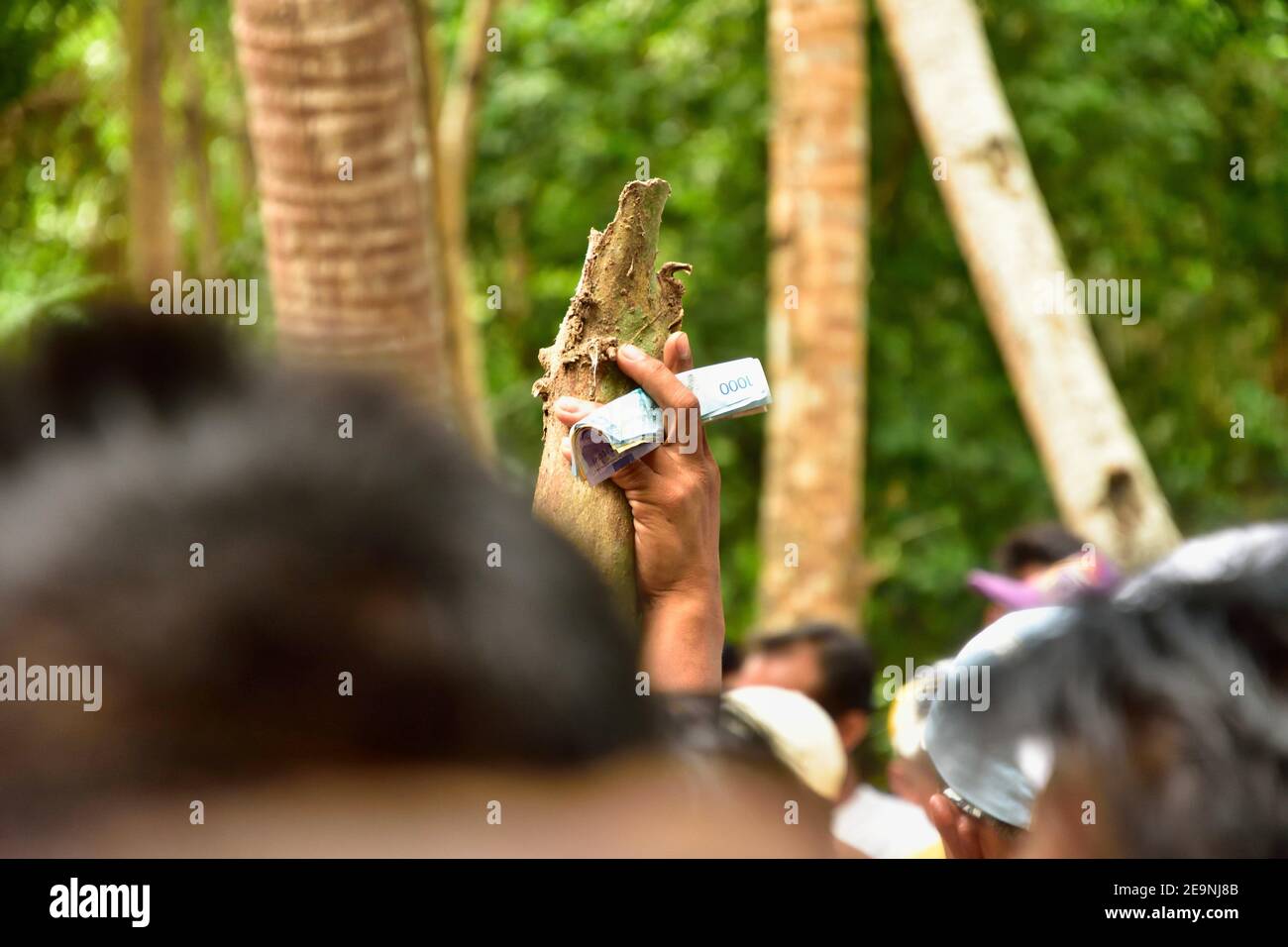 hand holding money at gamble cook fight Stock Photo - Alamy