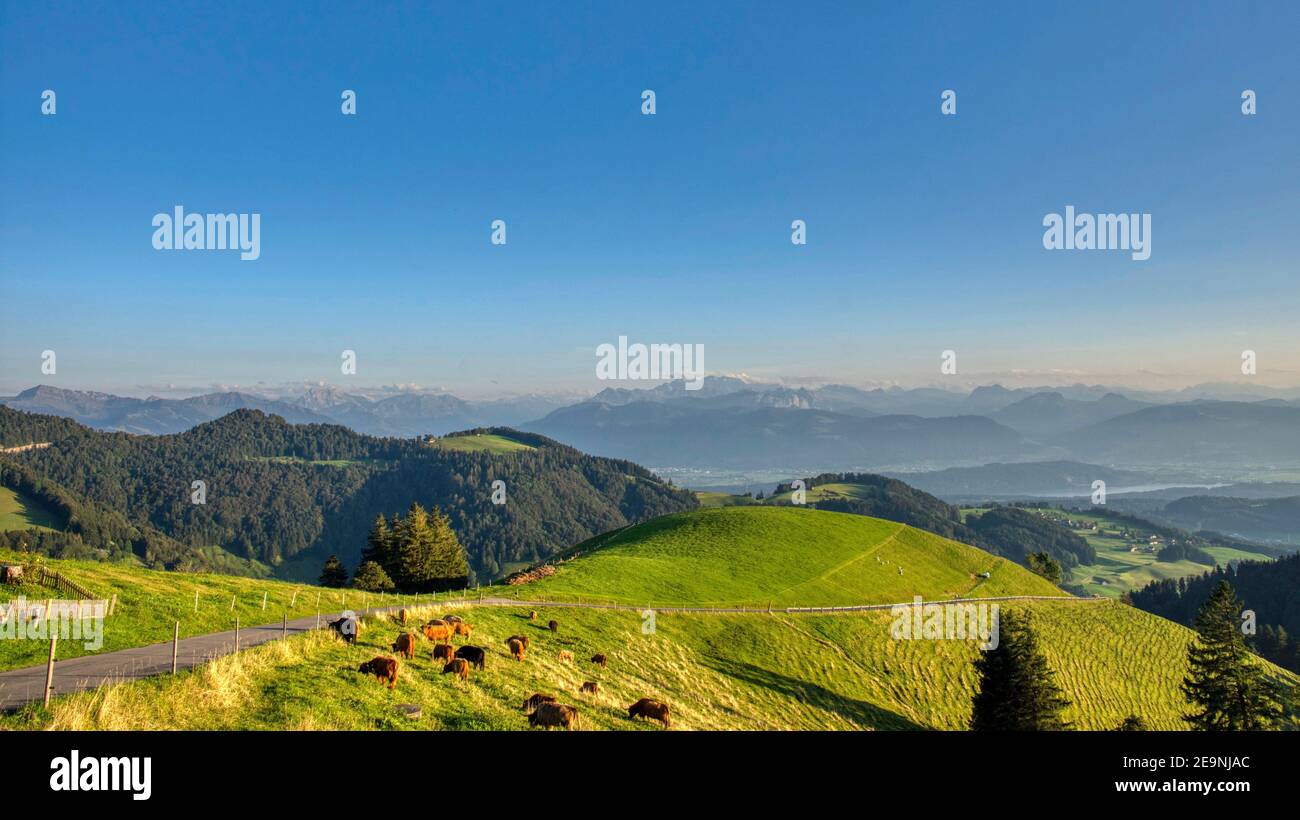 View of Alp Scheidegg and the mountains of Glarus. Picture taken in the ...