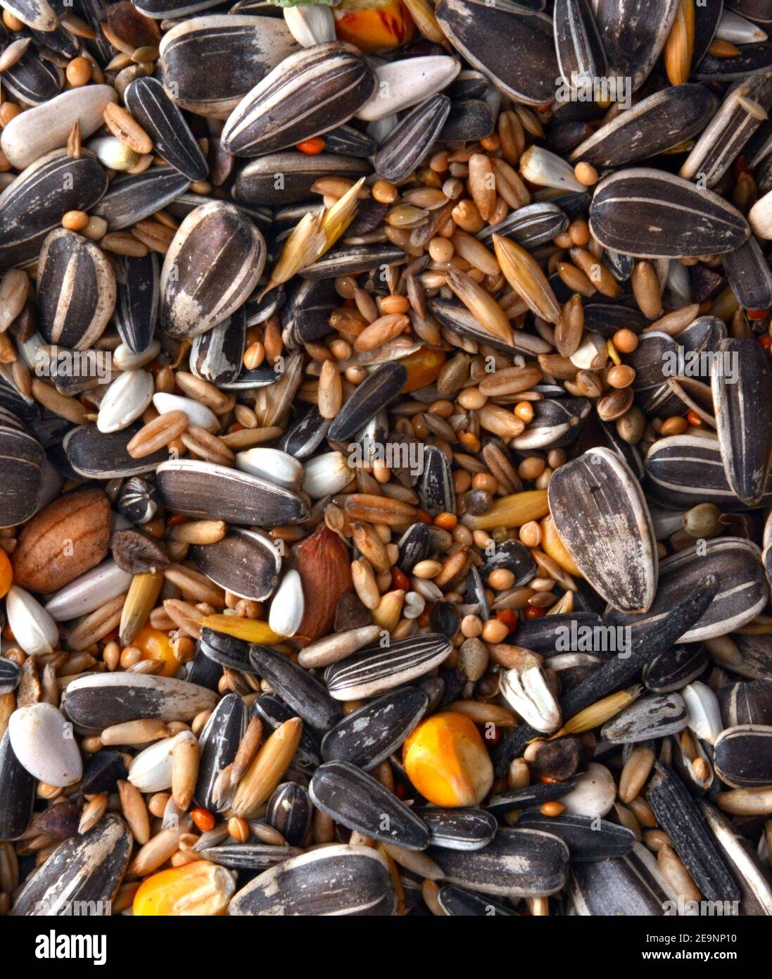 Seed mixture hi-res stock photography and images - Alamy