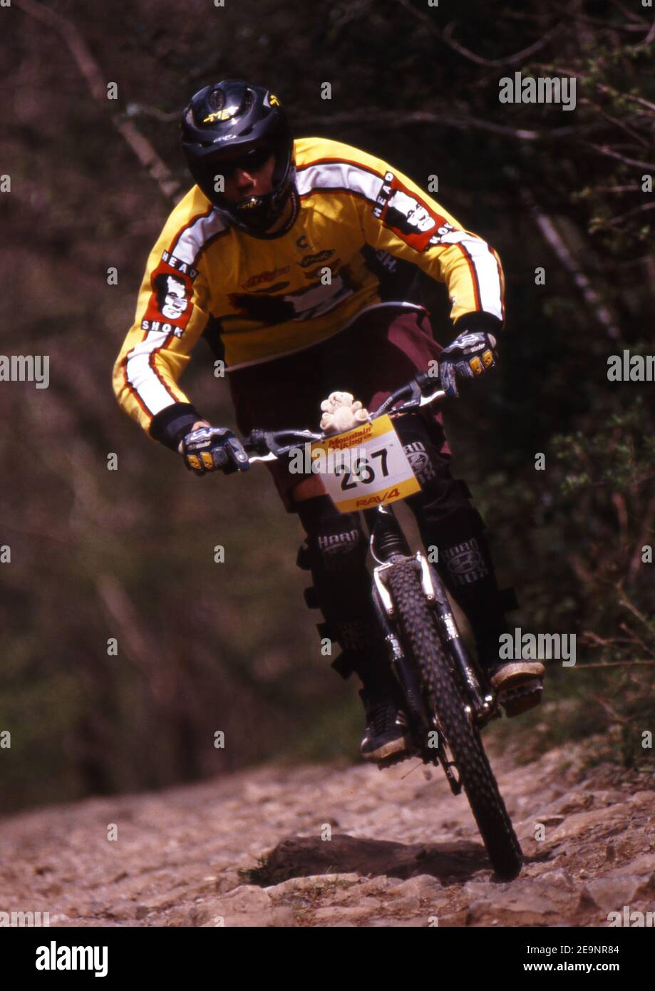 Mountain bike racer in woods Stock Photo - Alamy