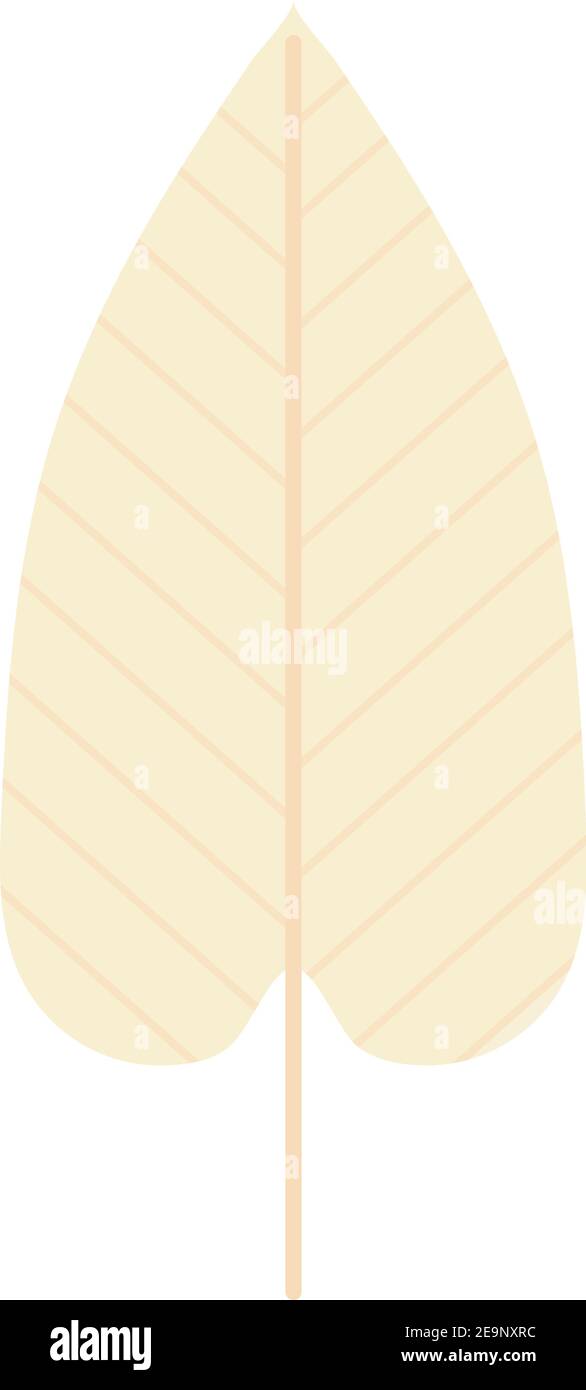 leaf with a beige color Stock Vector Image & Art - Alamy