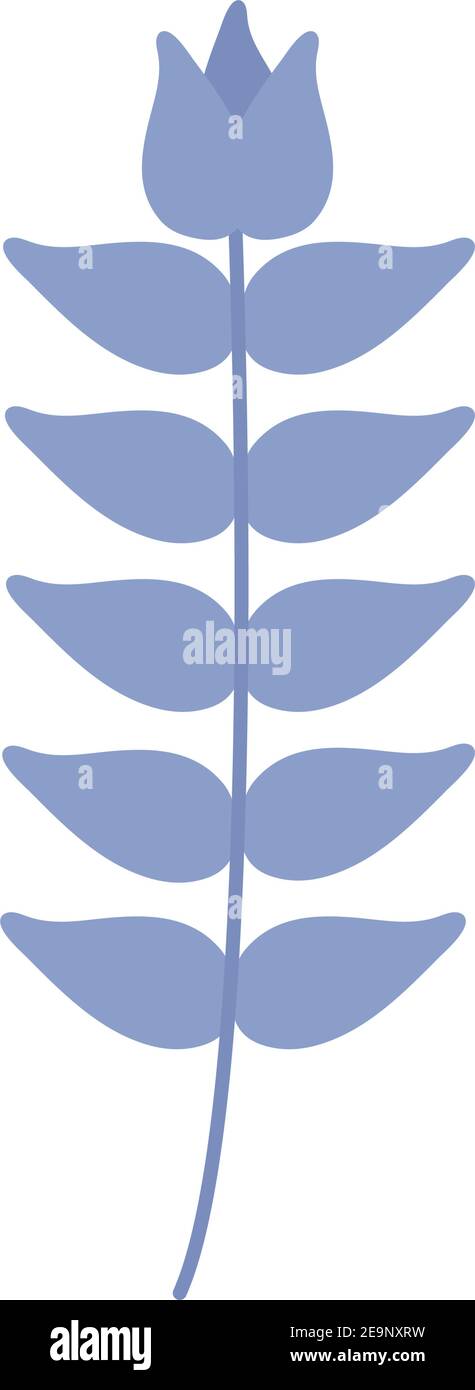 Blue flowers on hydrangea Stock Vector Images - Alamy