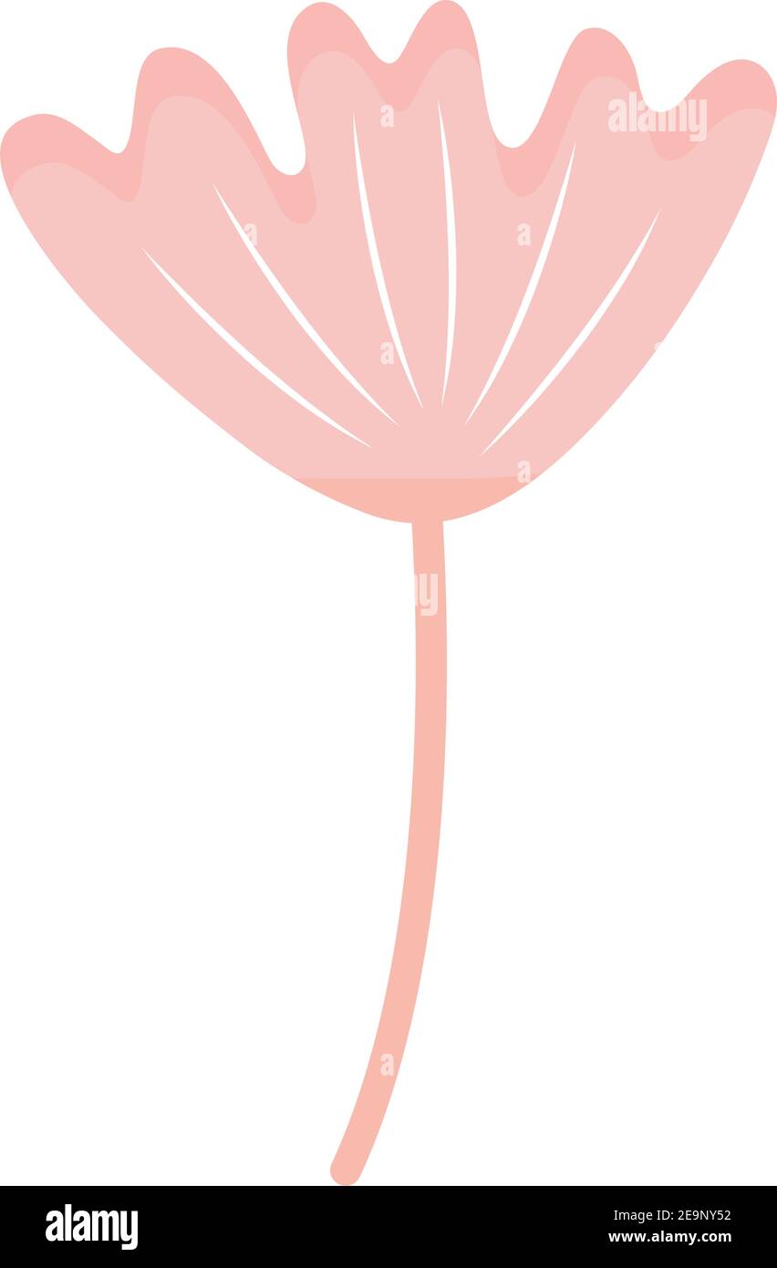 sunflower with a pink color Stock Vector Image & Art - Alamy