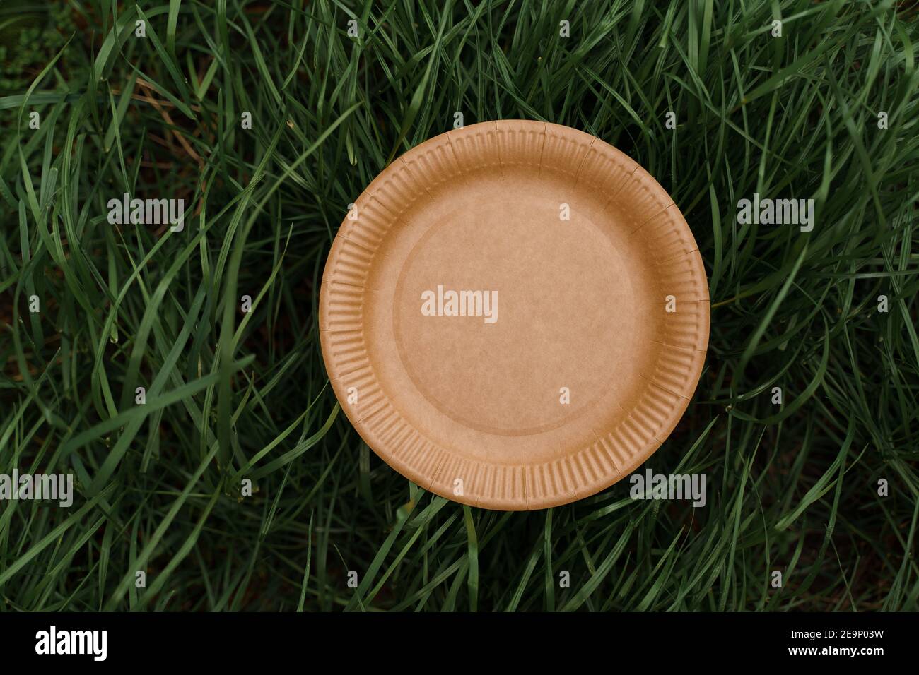 Eco-friendly natural plate from a set of disposable ecological utensils ...