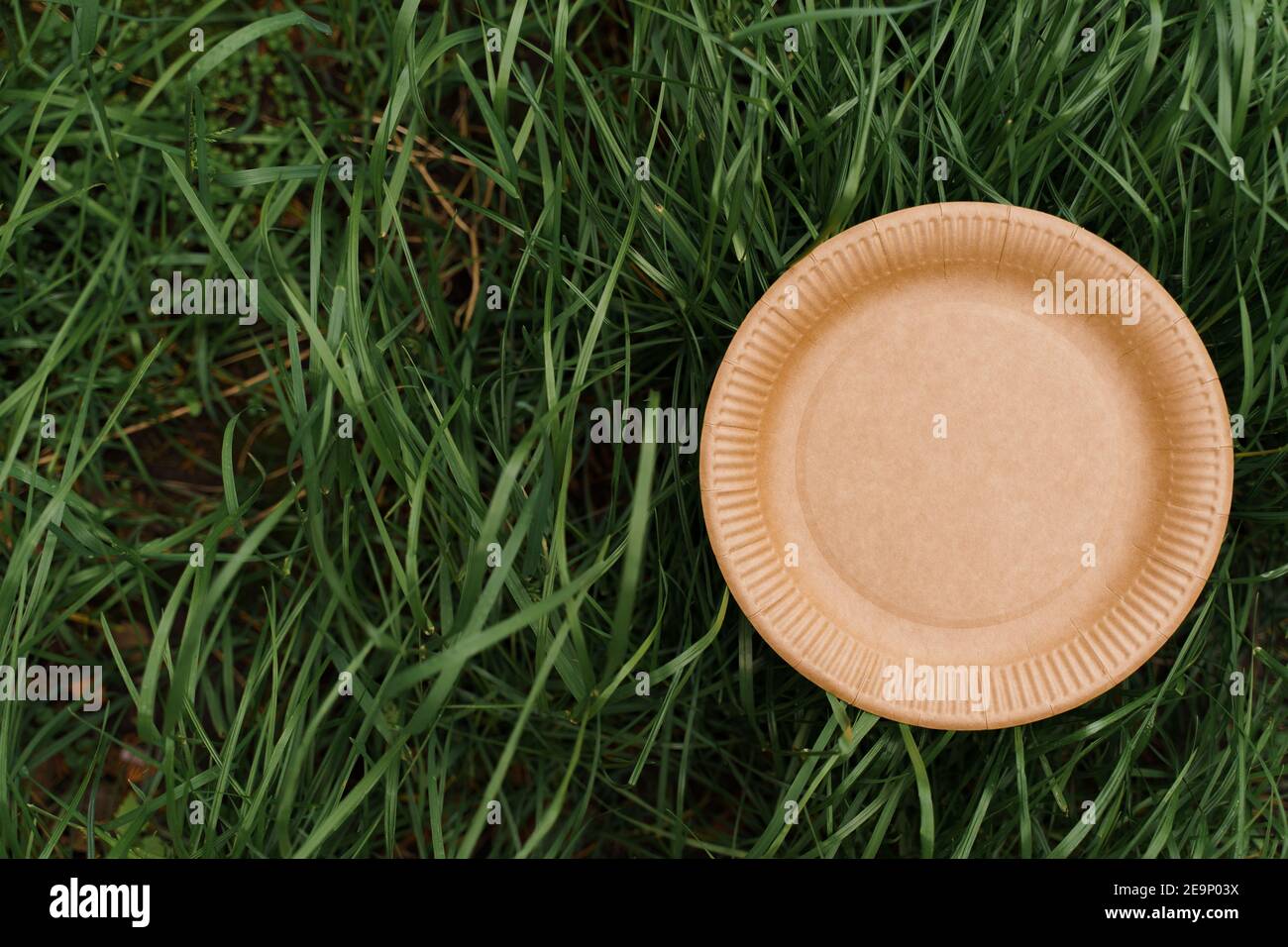 Eco-friendly natural plate from a set of disposable ecological utensils ...