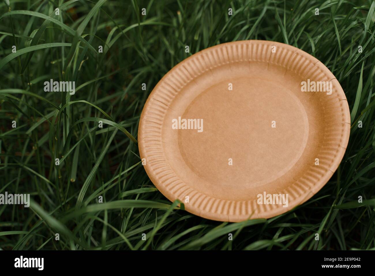 Eco-friendly natural plate from a set of disposable ecological utensils ...