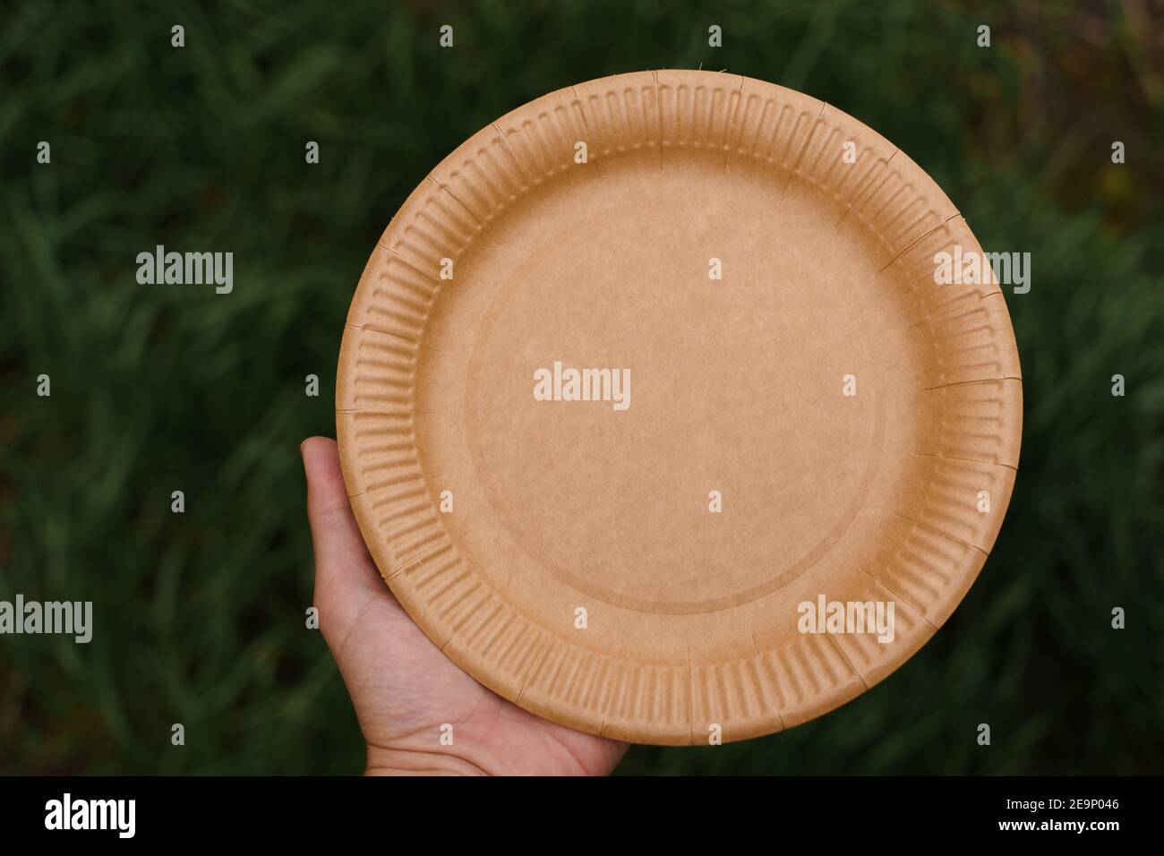 Eco-friendly natural plate. Set of disposable ecological utensils in ...