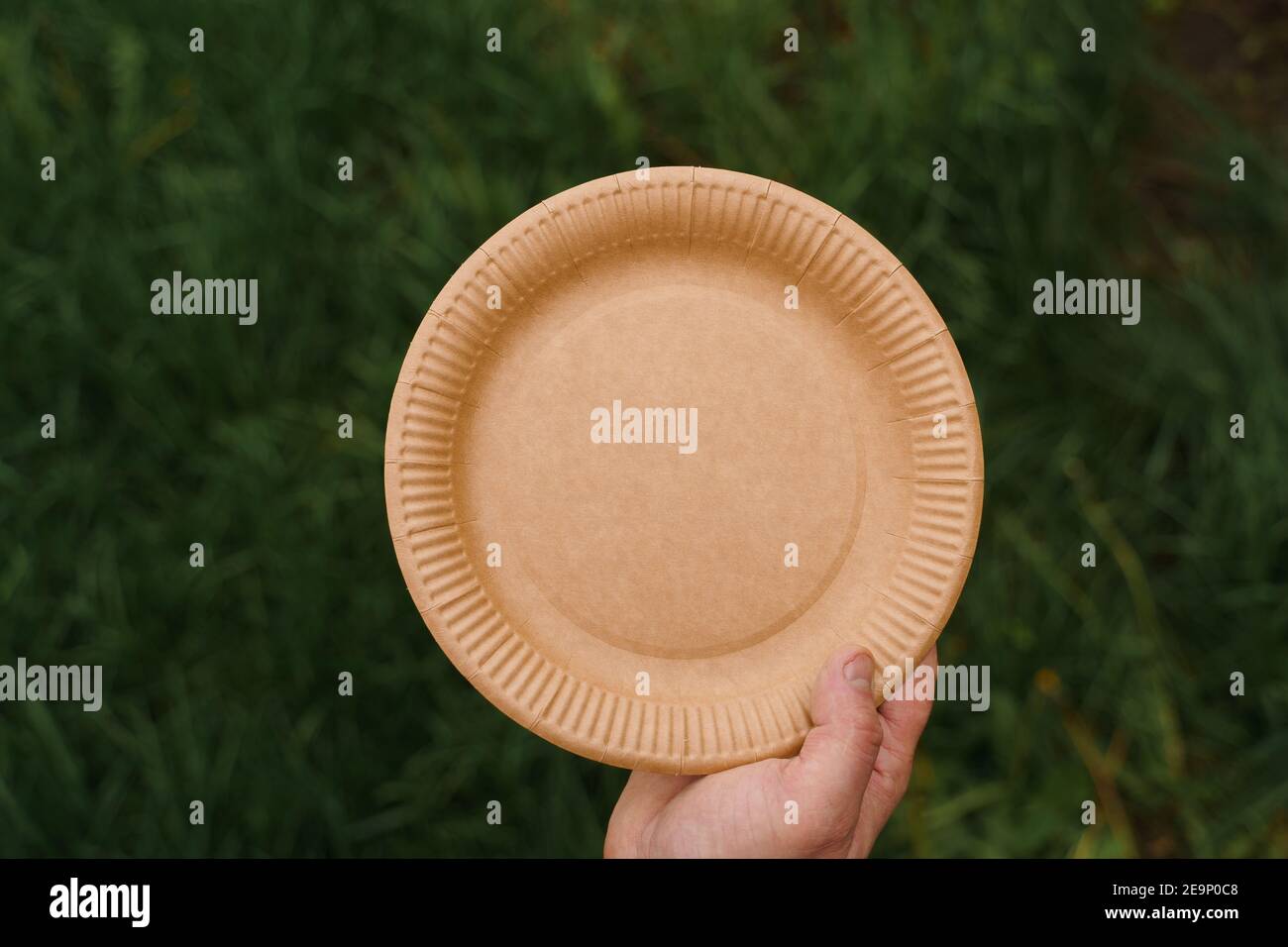 Eco-friendly natural plate. Set of disposable ecological utensils in ...