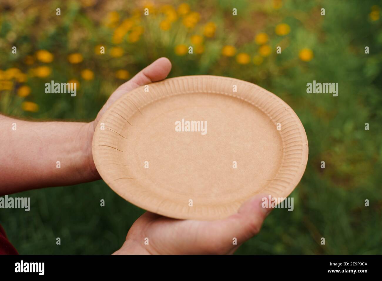 Eco-friendly natural plate. Set of disposable ecological utensils in ...