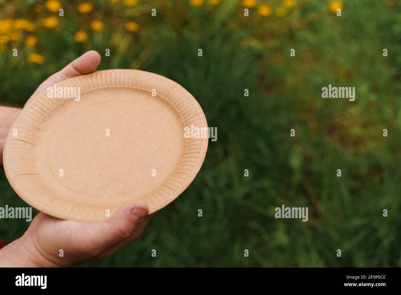 Eco-friendly natural plate. Set of disposable ecological utensils in ...