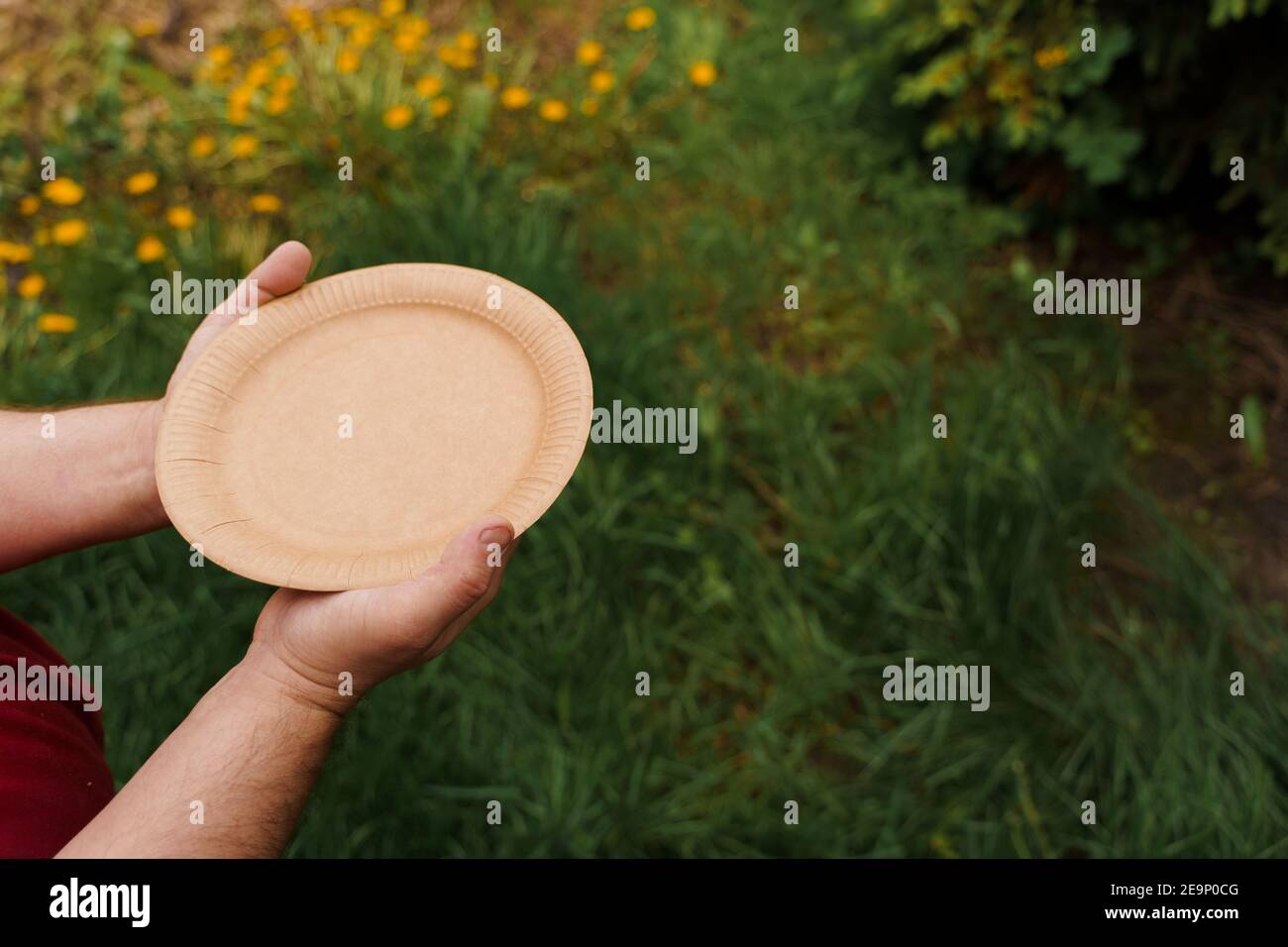 Eco-friendly natural plate. Set of disposable ecological utensils in ...