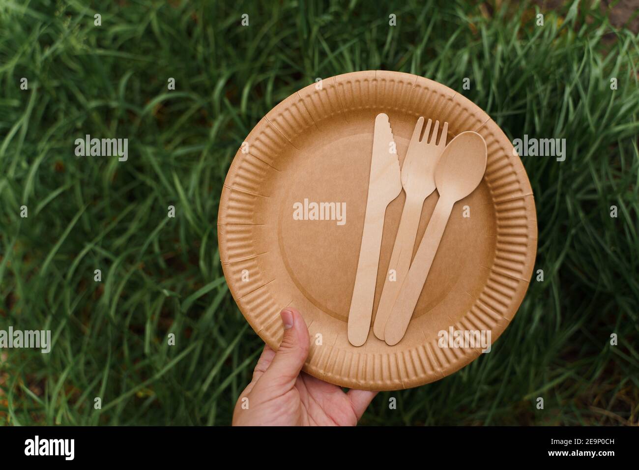 Eco-friendly natural plate with spoon, fork, knife. Set of disposable ...