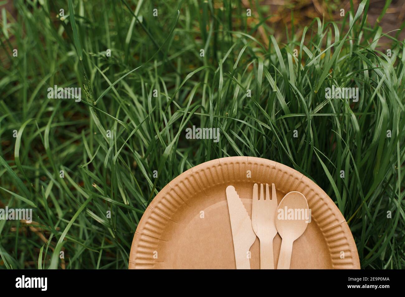 Eco-friendly natural plate with spoon, fork, knife. Set of disposable ...