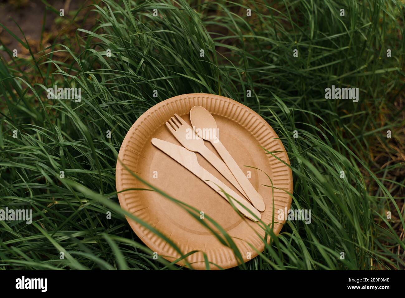 Eco-friendly natural plate with spoon, fork, knife. Set of disposable ...